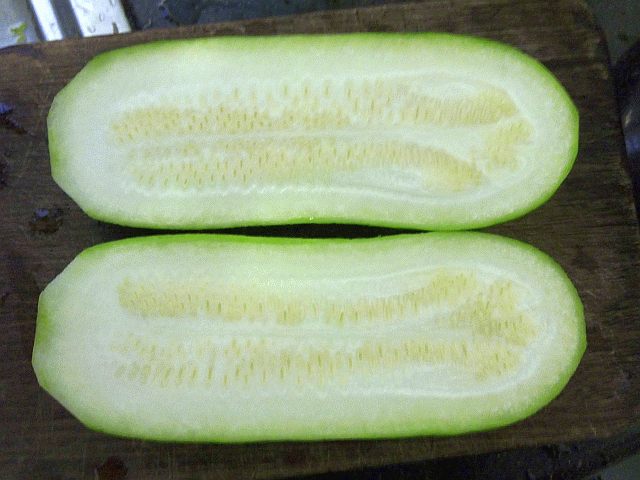 Chinese small marrow known as d'Zhit Gwa